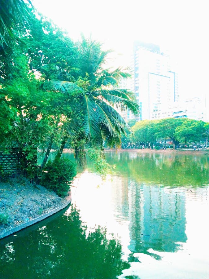 Park view stock image. Image of happy, park, view, good - 91252905