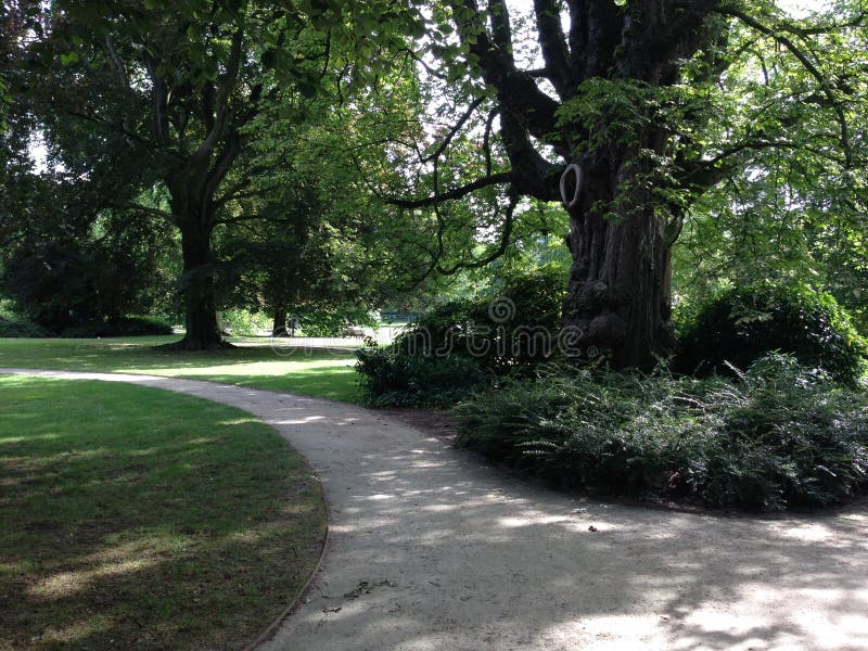 A Shaded Path Around an Old Oak Tree. Stock Image - Image of foliage ...