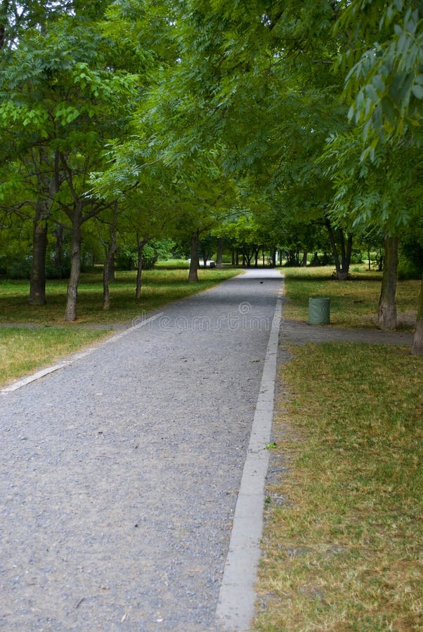 Park walk stock image. Image of green, tree, alley, beautiful - 5758411