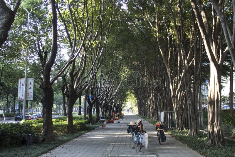 Park Walk at within Urban City Editorial Image - Image of wall ...