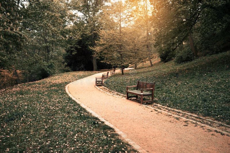 Park walkway stock image. Image of sunny, yard, road - 55013267