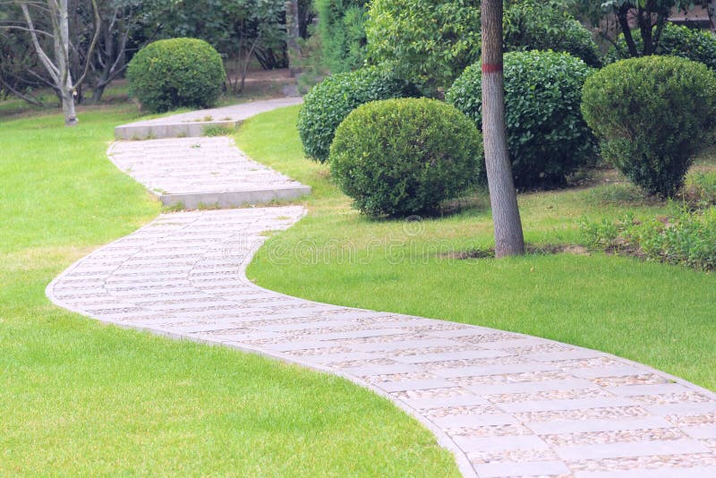 Park walkway stock photo. Image of bush, peaceful, lawn - 33139426