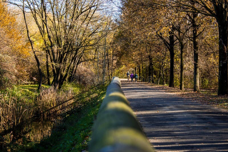 Park walkway stock image. Image of autumn, october, fall - 62959435