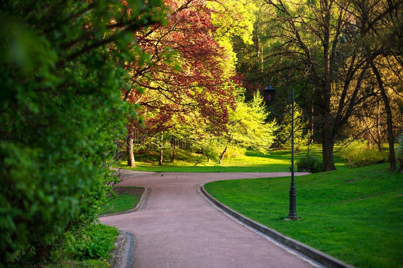 Park Walkway in Summer Botanical Garden Stock Photo - Image of ...