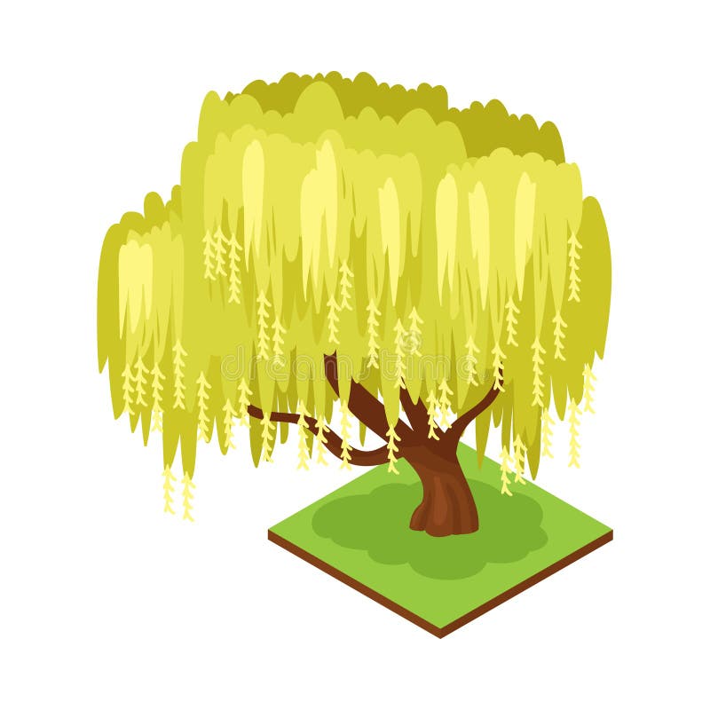 Park Weeping Willow Composition Stock Vector - Illustration of ...