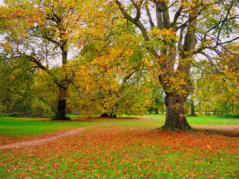 Park Whispering in Enchanted Colours Stock Photo - Image of park ...