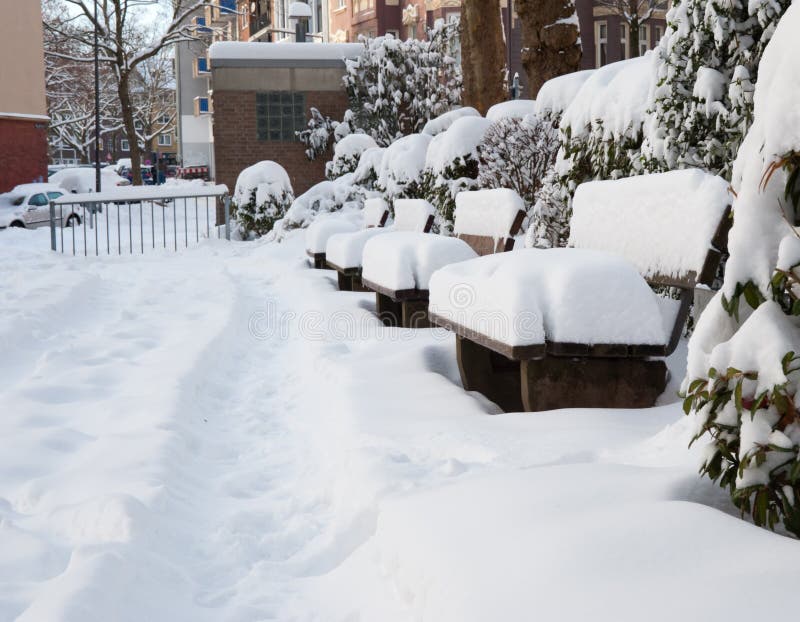 Park in winter stock photo. Image of shrub, frost, europe - 17992278
