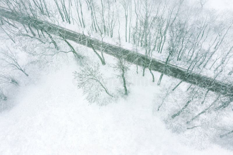 Park in Winter. Aerial View of Beech Trees and Park Ground Covered with ...