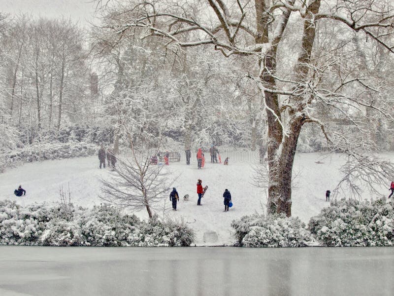 Park in Winter stock photo. Image of figures, cold, trees - 107113522