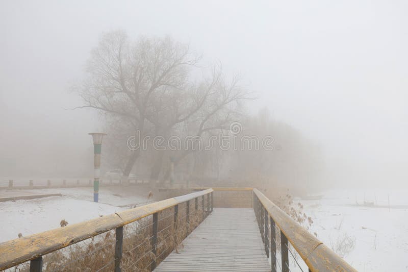 Park Wood Bridge in Fog and Haze Stock Photo - Image of winter, hazy ...