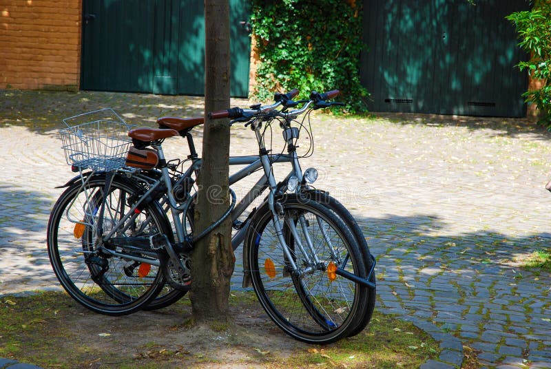 Parked and Locked Bikes at a Tree Stock Photo - Image of outdoors ...