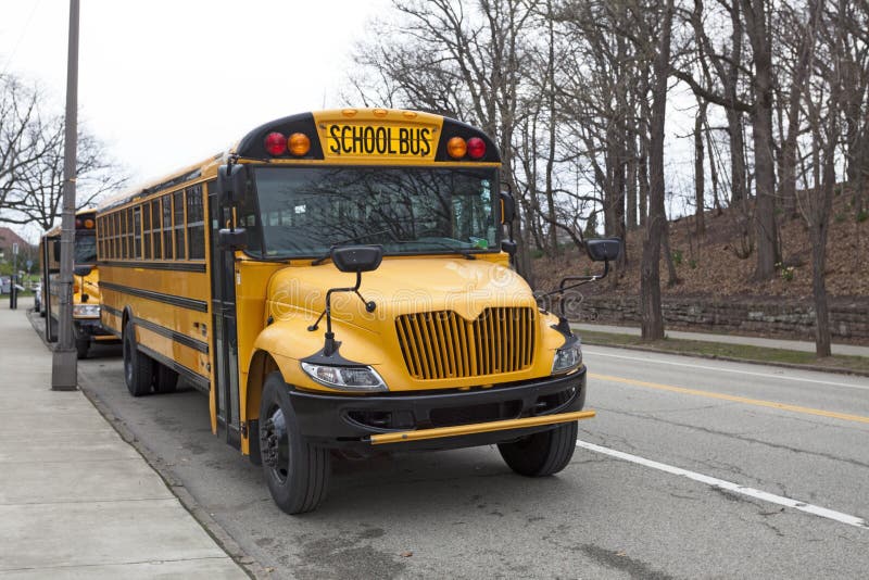 515 Front View School Bus Photos - Free & Royalty-Free Stock Photos ...