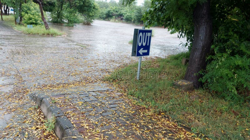 Parking Out Sign after Rain Stock Photo - Image of sign, autumn: 333513736