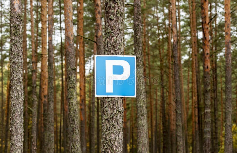 Parking Sign on Tree in Forest. Traffic in Nature Stock Image - Image ...