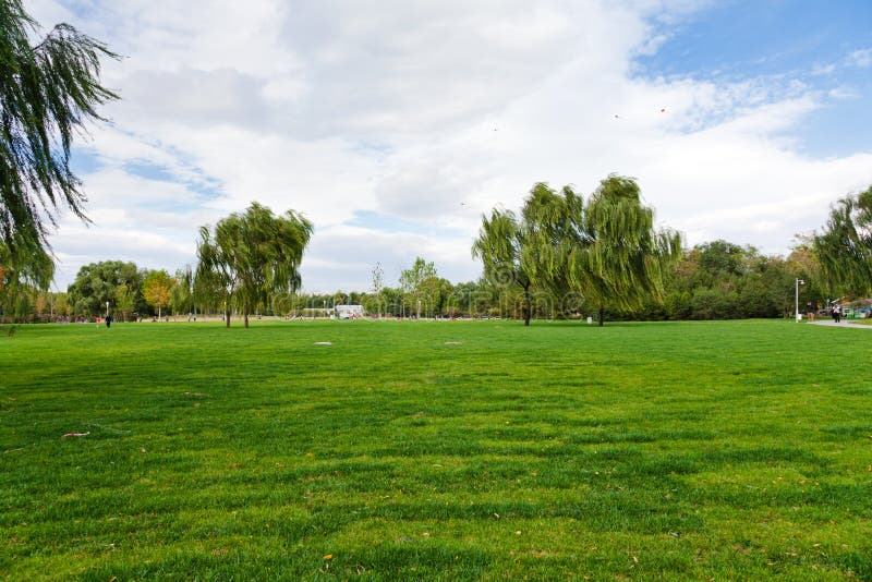 Breiter Rasen im Park stockfoto. Bild von nave, draussen - 69548830