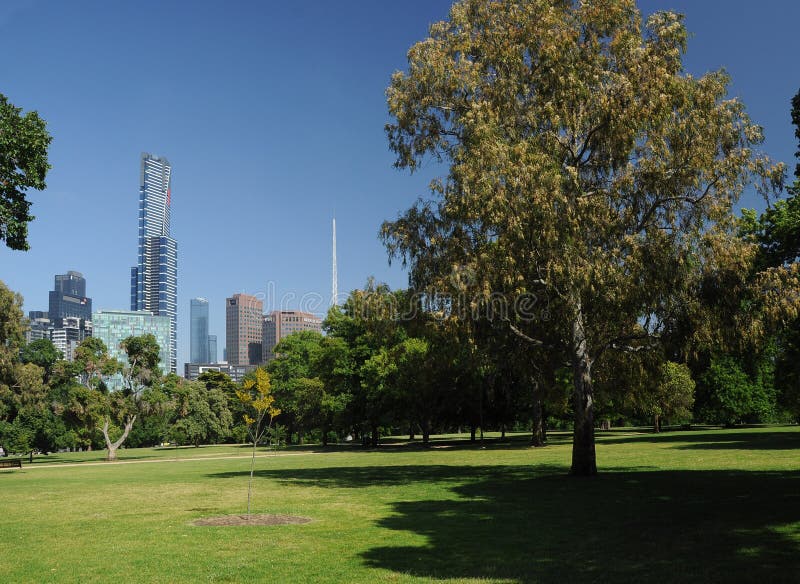 Parks and Gardens of Melbourne Stock Photo - Image of light, trees ...