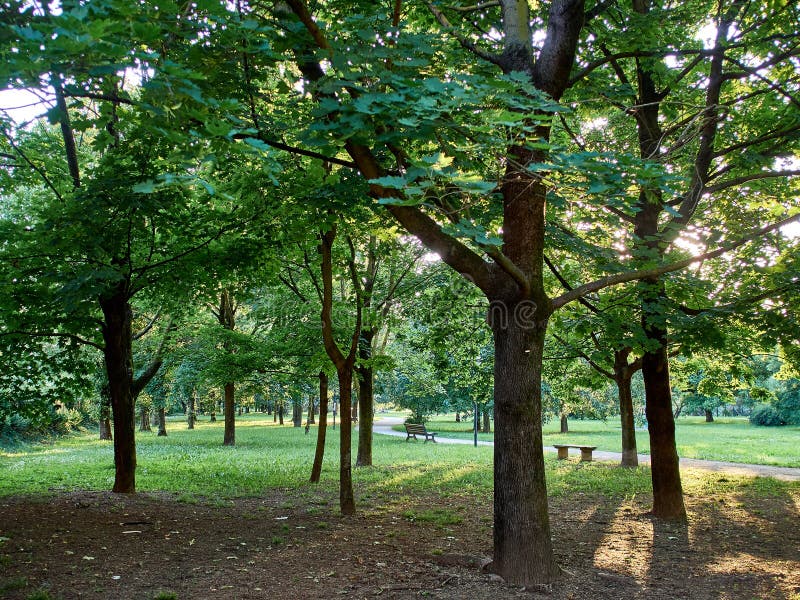 Parks stock photo. Image of milan, lawn, outdoor, landscape - 135680854