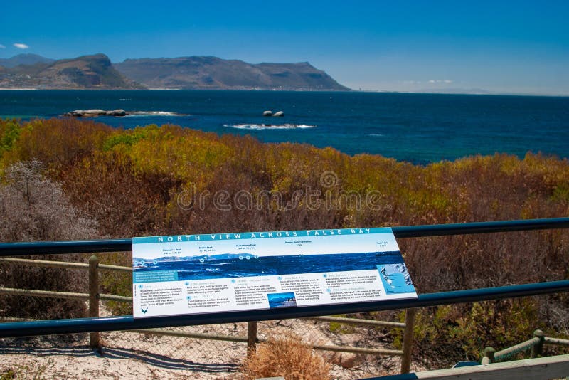 Cape Town Parks and Reserves of South Africa Editorial Image - Image of ...