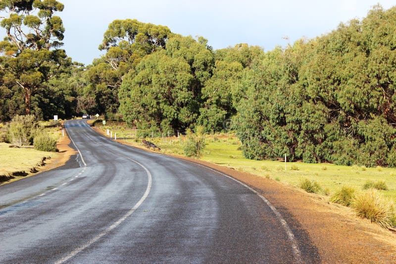 Parkway stock photo. Image of grass, wild, trees, nature - 26523134