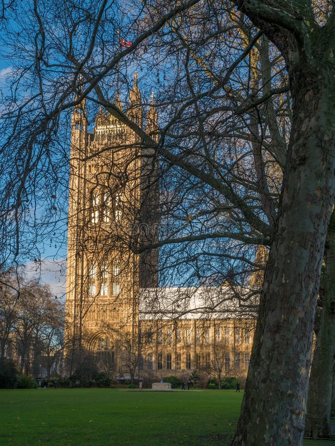 Parliament Behind Bare Trees Stock Photos - Free & Royalty-Free Stock ...