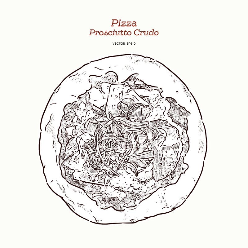 Parma Ham Vector Drawing. Hand Drawn Hamon Meat Illustration. Italian ...