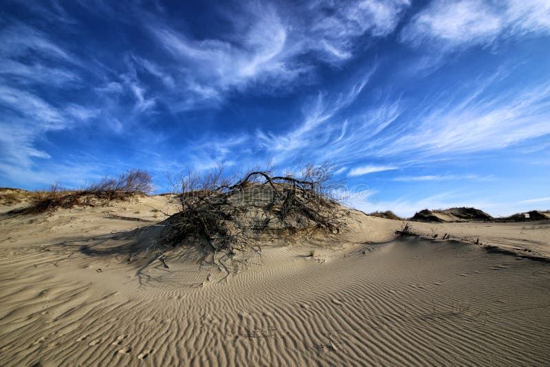 Parnidis Sand Dune on the Curonian Spit Stock Image - Image of travel ...