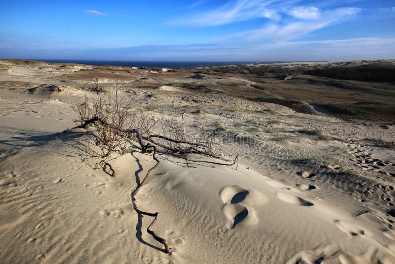 Parnidis Sand Dune in Sunset. Curonian Spit, Nida City, Lithuania Stock ...