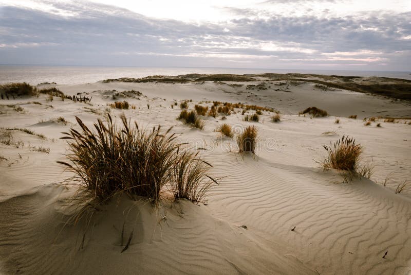 Parnidis Sand Dune in Sunset. Curonian Spit, Nida City, Lithuania Stock ...