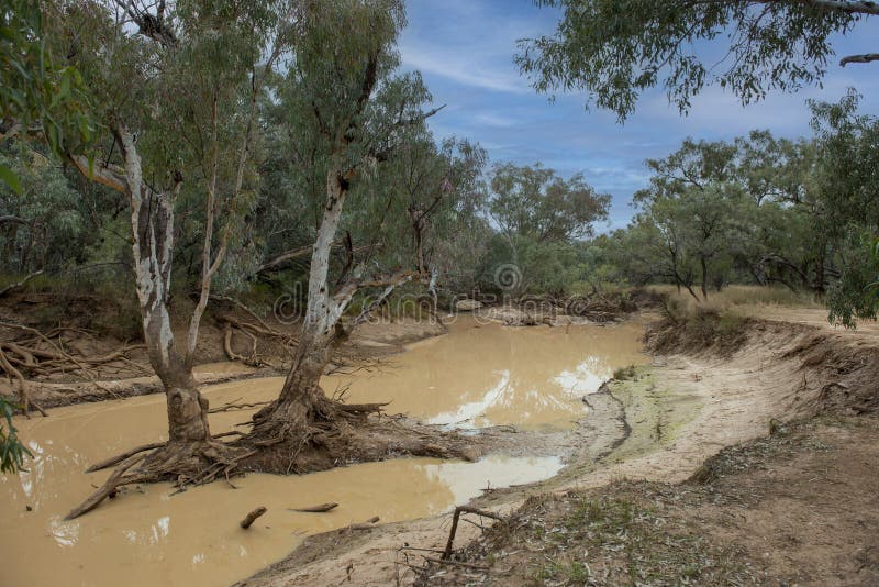 The Paroo River Near the Town of Eulo Stock Photo - Image of landscape ...