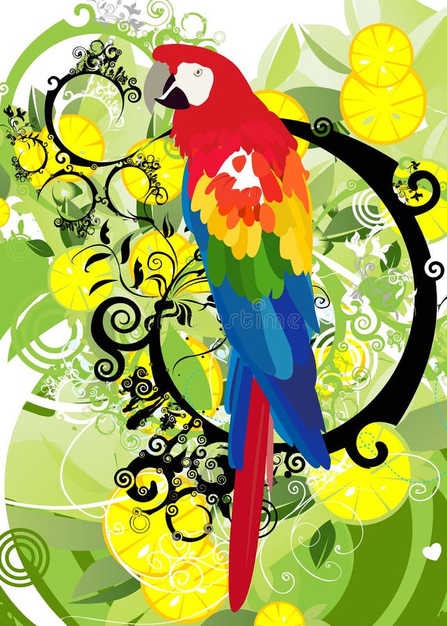 Parot Bird Stock Illustrations – 183 Parot Bird Stock Illustrations ...