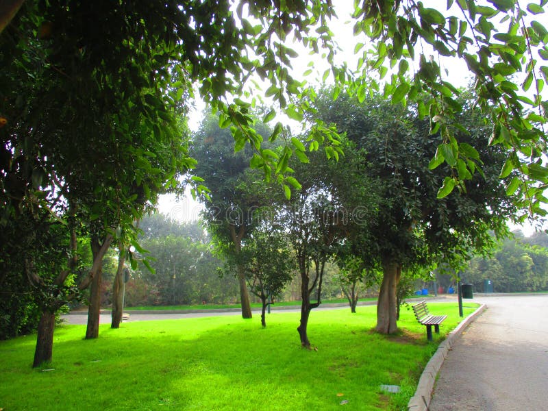 Parque al azhar foto de archivo. Imagen de parque, cubo - 224690030