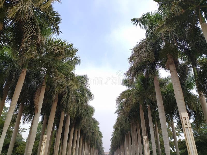 Parque al azhar foto de archivo. Imagen de palma, cielo - 224693680