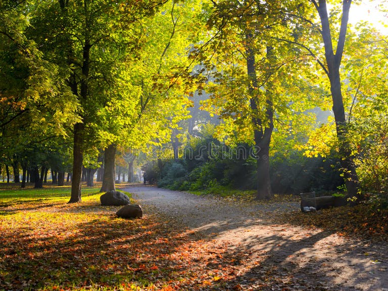 Parque amarillo imagen de archivo. Imagen de campo, coloreado - 16714367
