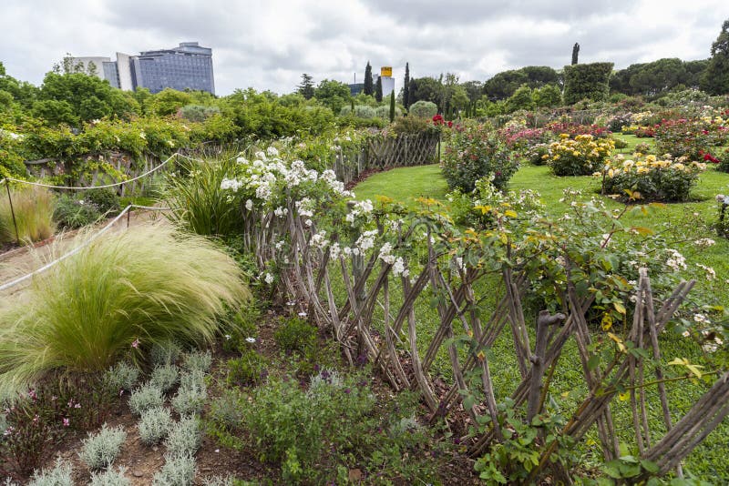 Parque Cervantes, Rosaleda, Barcelona Foto editorial - Imagen de ...