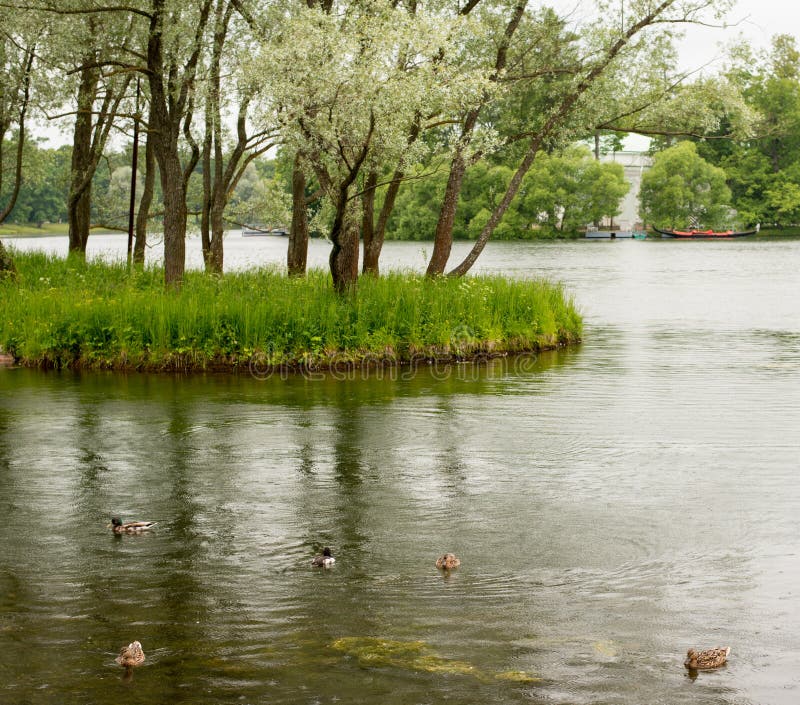 Parque Con El Lago Y Los Patos Foto de archivo - Imagen de pato, cielo ...