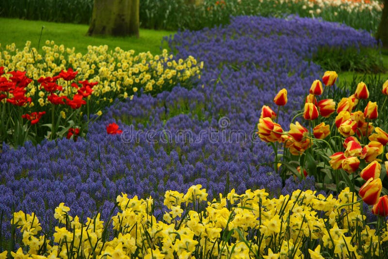 Parque de flores imagen de archivo. Imagen de arriate - 13039549
