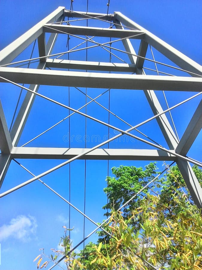 Parque De La Aventura De Toro Verde Imagen editorial - Imagen de ...