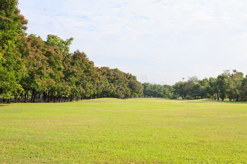 Día Soleado Hermoso En Parque En El Tiempo De Primavera Foto de archivo ...