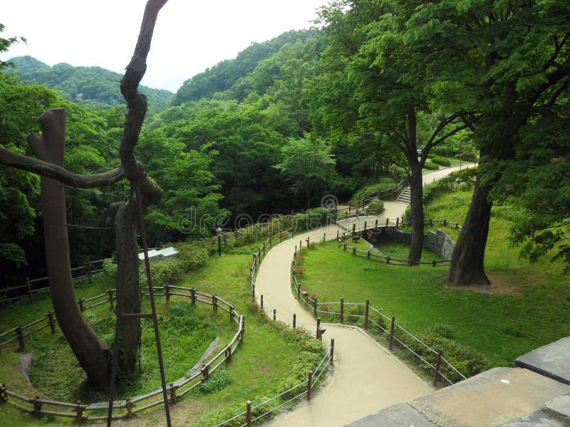 Parque de la Corea del Sur imagen de archivo. Imagen de parque - 124036153
