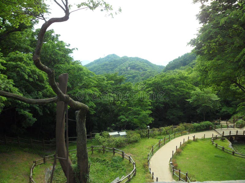 Parque de la Corea del Sur imagen de archivo. Imagen de parque - 124036197