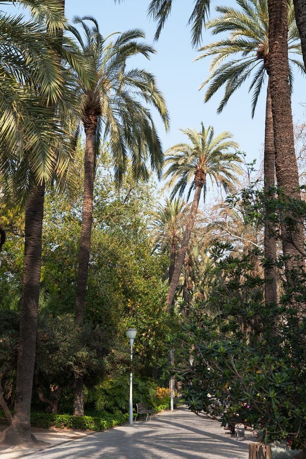 Parque De La Alameda Malaga Spain Andalucia Stock Photo - Image of ...