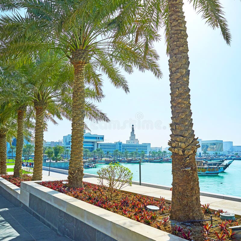Parque De Playa En Doha, Qatar Imagen de archivo - Imagen de coastline ...