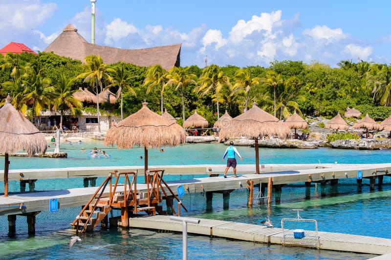 Parque de Xcaret, México imagen editorial. Imagen de acuático - 105806410