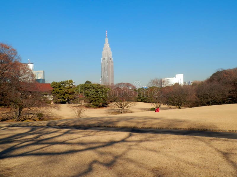 Parque De Yoyogi - Shinjuku - Tokio Imagen de archivo - Imagen de flor ...
