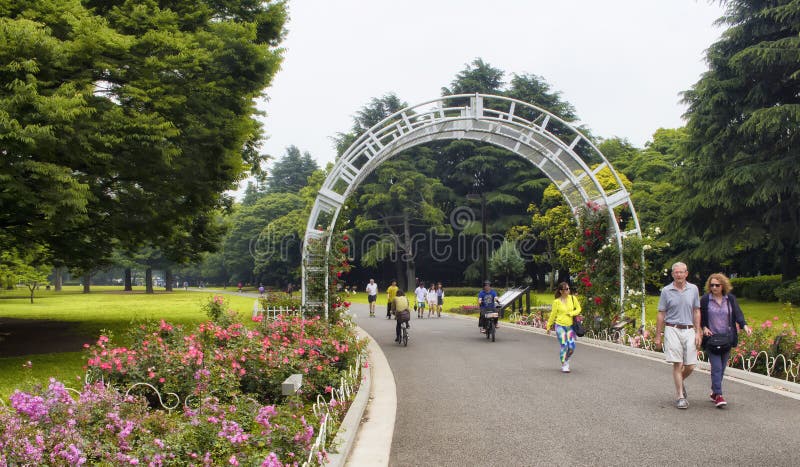 Parque De Yoyogi - Shinjuku - Tokio Imagen de archivo - Imagen de flor ...
