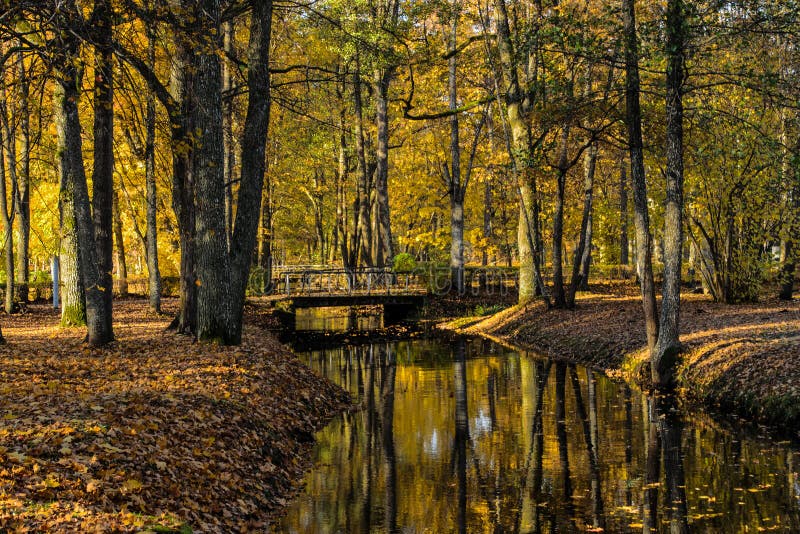 Parque Del Paisaje De Kemeri, Letonia Foto de archivo - Imagen de rojo ...