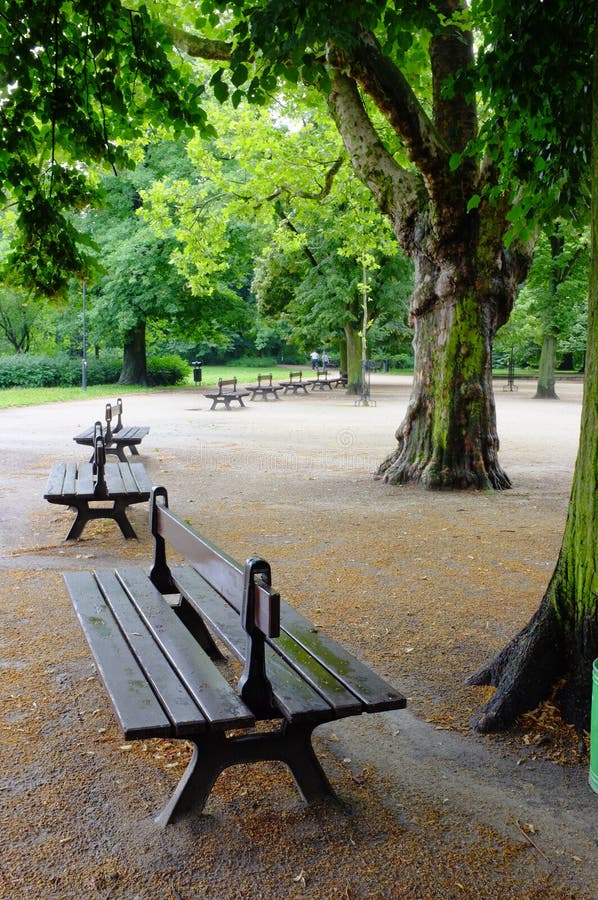Parque en día lluvioso imagen de archivo. Imagen de apacible - 25573123