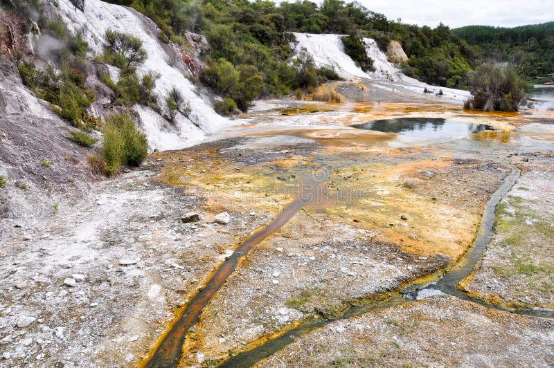 Parque Geothermal De Orako Korakei Em Rotorua, NZ Foto de Stock ...