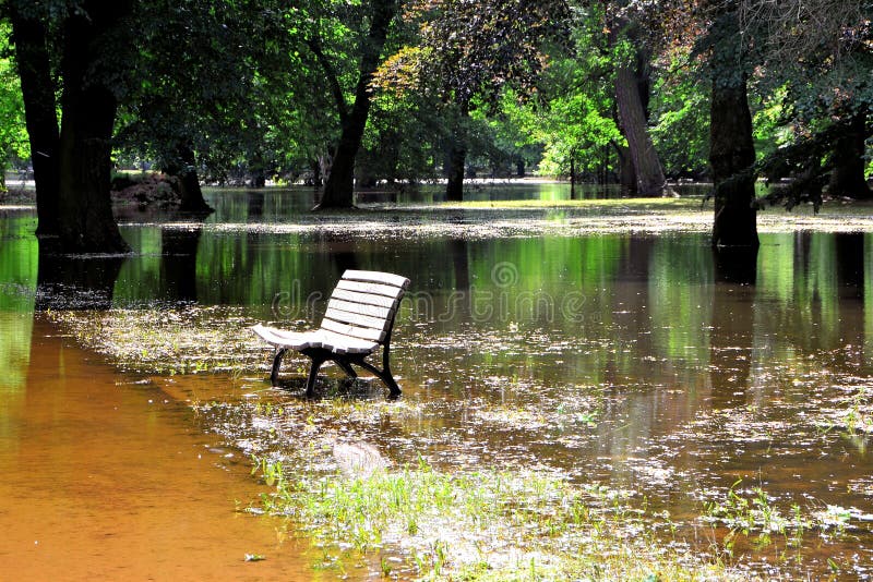 Parque Inundado En La Inundación Imagen de archivo - Imagen de flujo ...