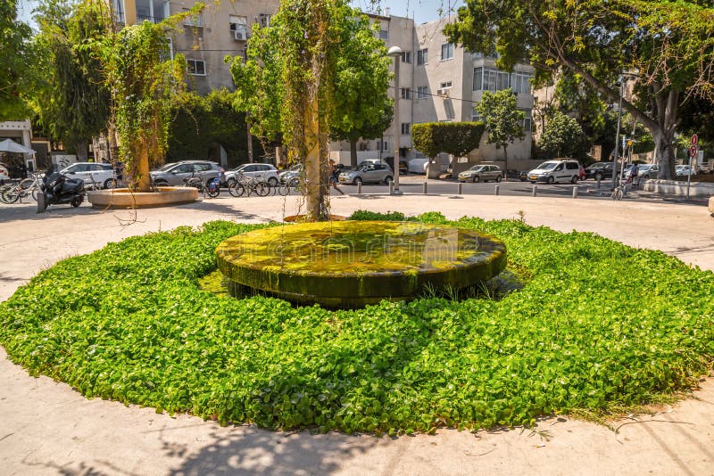Parque Kiryat Sefer En Tel Aviv Fotografía editorial - Imagen de sefer ...